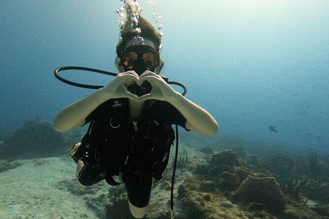 Open Water Diver Course - Detailed Breakdown of the Itinerary