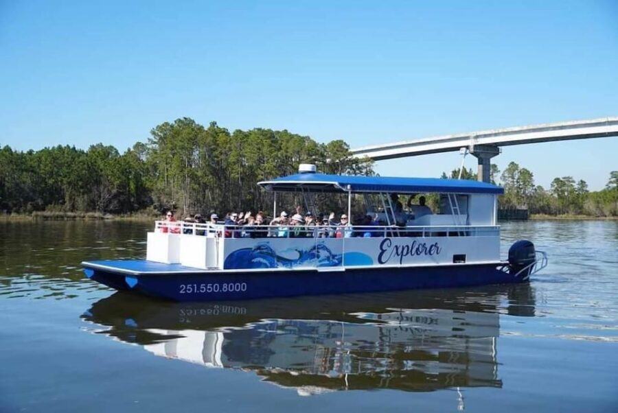 Orange Beach: Dolphin Eco Sunset Cruise aboard The Explorer - Who Will Love This Cruise?