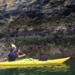 Orcas Island: Wildlife Spotting Kayak Tour - Final Thoughts