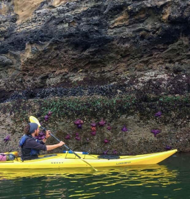 Orcas Island: Wildlife Spotting Kayak Tour - Final Thoughts