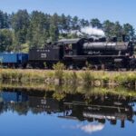 Oregon Coast: Scenic Railroad Excursion Along Coastline - Authentic Experiences and Traveller Feedback