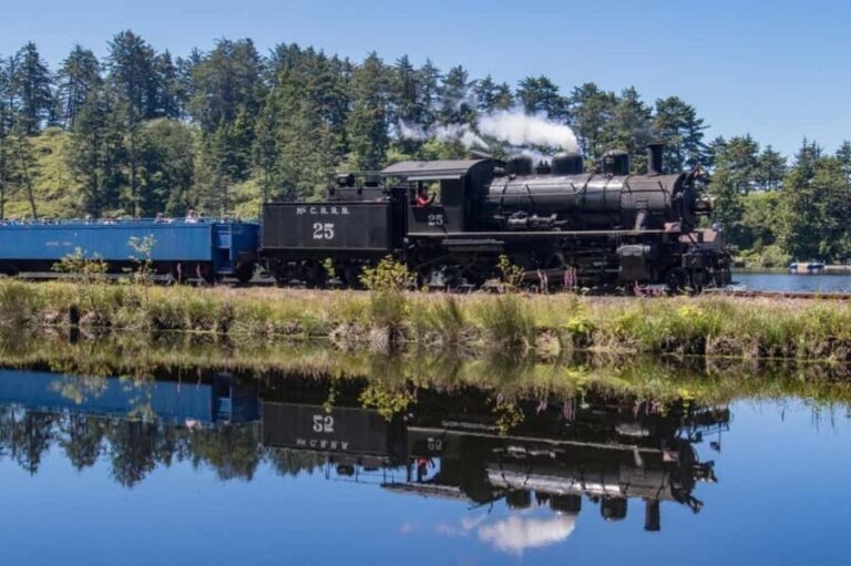 Oregon Coast: Scenic Railroad Excursion Along Coastline - Authentic Experiences and Traveller Feedback