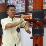 Original Martial Arts Tour - Who Will Love This Tour?