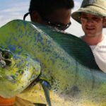 Orlando Deep Sea Fishing Charter - What a Typical Day Looks Like