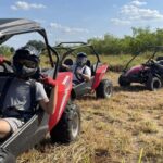 Orlando: Dune Buggy Tour - Final Thoughts: Who Should Try This?