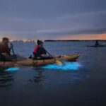 Orlando: Magic After Dark Bioluminescence Kayak Tour - Detailed Breakdown of the Experience