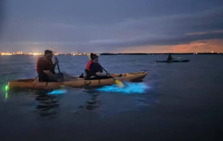Orlando: Magic After Dark Bioluminescence Kayak Tour - Detailed Breakdown of the Experience