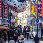 Osaka 6 hr Private Tour: English Speaking Driver Only, No Guide - The Practical Side: What to Expect