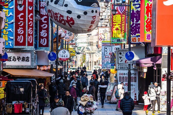 Osaka 6 hr Private Tour: English Speaking Driver Only, No Guide - The Practical Side: What to Expect