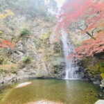 Osaka 8 Hours Tour Explore City and Minoh Falls - Practical Details and What It Means for You