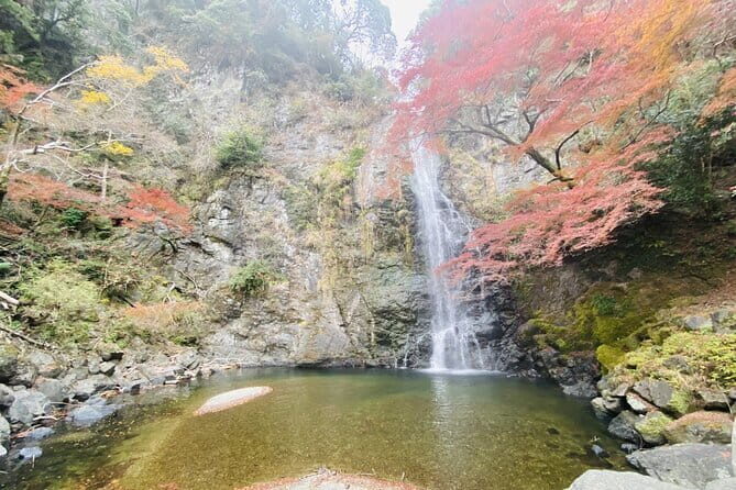 Osaka 8 Hours Tour Explore City and Minoh Falls - Practical Details and What It Means for You