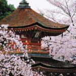 Osaka and Kansai Private Customized Day Tour - The Value for Your Money