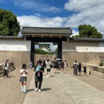 Osaka and Nara Attractive One Day private Tour - Who Is This Tour Best For?