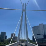 Osaka: Bike Adventure with Lunch - The Practicalities: Comfort, Timing, and Group Size