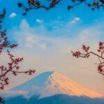 Osaka, Kyoto & Nara 5 Days Tour with Accomodation - Daily Breakdown: What to Expect