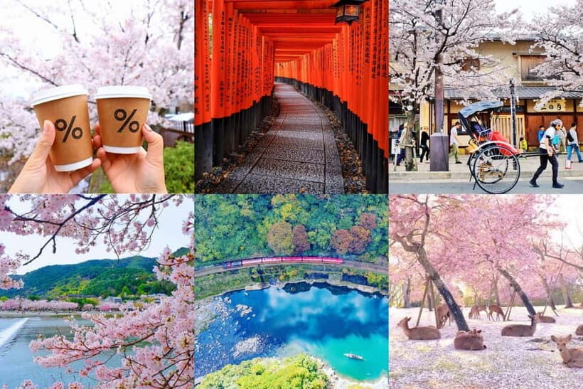 Osaka/Kyoto/Nara: Private Full-Day Sightseeing Tour - Who This Tour Is Best For