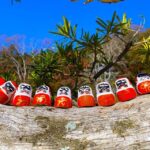 Osaka: Minoh, Katsuoji Temple, & Minoh Falls Full-day Tour - The Experience We Expect for You