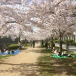 Osaka: Private and Fully Customized Tour with Hotel Meet Up - Detailed Breakdown of the Itinerary