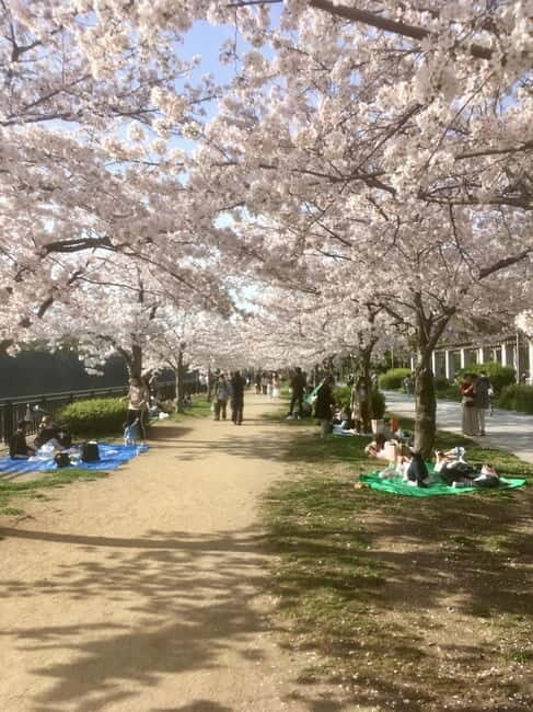 Osaka: Private and Fully Customized Tour with Hotel Meet Up - Detailed Breakdown of the Itinerary