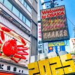 Osaka Private Day Trip - Enjoy Your First-Time Visit to Osaka! - A Detailed Breakdown of the Itinerary