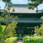 Osaka Private Tour Tracing the Grand Master of the Tea Ceremony - Practicalities and Value