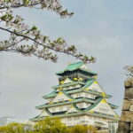 Osaka: Private Tour with English speaking Guide and pickup - The Practicalities: What Does the Tour Include?
