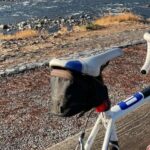 Osaka: Rent a Road Bike in Osaka and return in Kyoto! - What to Expect During Your Day