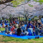 Osaka Spring Daytime (Cherry Blossom) Food Tour - Frequently Asked Questions