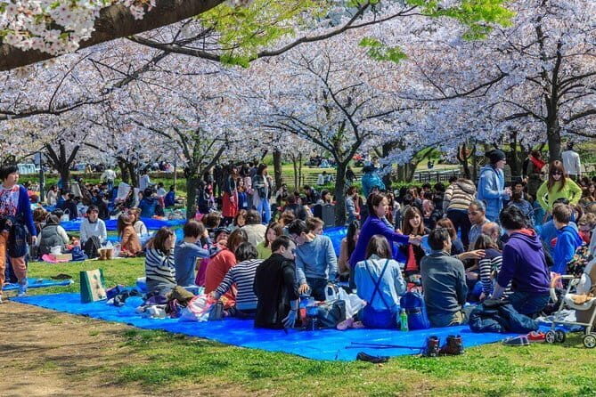 Osaka Spring Daytime (Cherry Blossom) Food Tour - Frequently Asked Questions