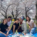 Osaka: Springtime Sakura Picnic "Hanami" - Who Will Love This Tour?