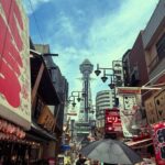 Osaka: Visit the must-see places. - Practical Details and Value