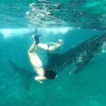 Oslob Cebu: Whale Shark Watching Day Tour - Authentic Experiences and Real Traveler Insights