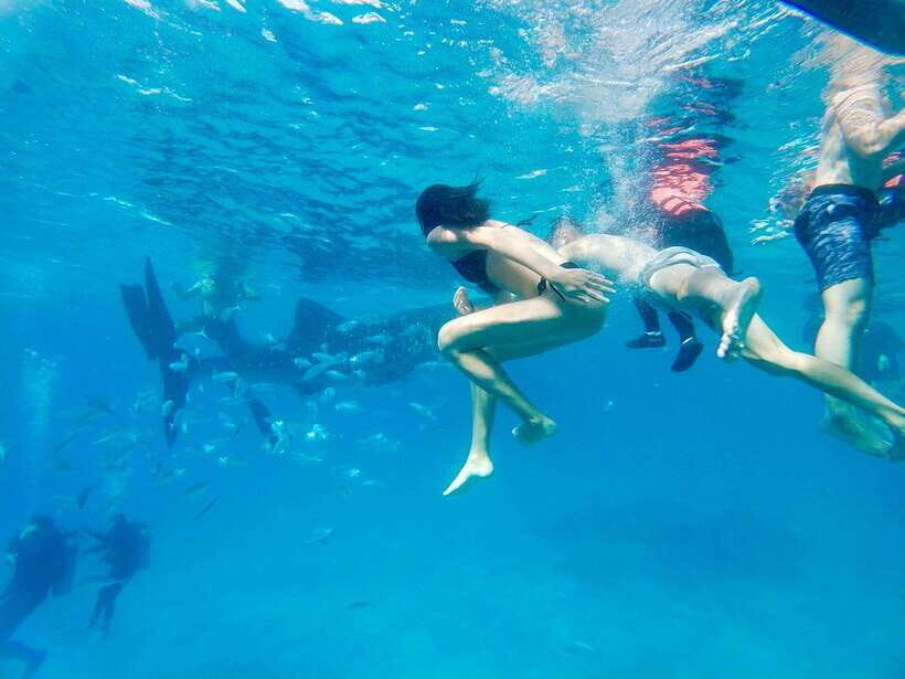 Oslob Whale Shark Direct - Who Will Love This Tour?