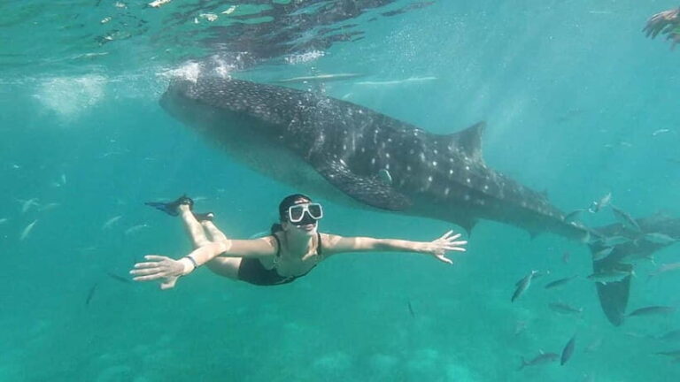 Oslob: Whale Shark Tour with Sumilon & Moalboal Snorkeling - FAQs