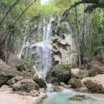 Oslob Whale Shark Watching + Kawasan Falls Day Tour - The Itinerary in Detail