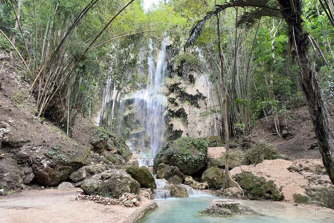 Oslob Whale Shark Watching + Kawasan Falls Day Tour - The Itinerary in Detail