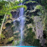 Oslob: Whale Sharks, Tumalog Falls, & Monkey Sanctuary Tour - Discovering Oslob: A Coastal Gem