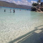 Oslob: Whale Sharks, Tumalog Falls & Sumilon Trio Adventure - Authentic Experiences and What Travelers Say