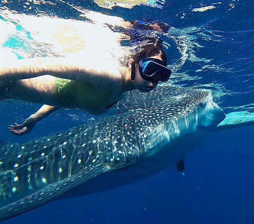 Oslob: Whaleshark Watching, Tumalog Falls & Sumilon Island - Additional Details & Practical Tips