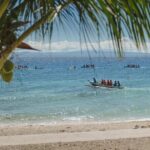 Oslob Whaleshark with Aguinid Waterfalls - Who Should Consider This Tour?