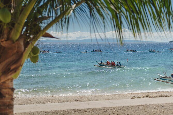 Oslob Whaleshark with Aguinid Waterfalls - Who Should Consider This Tour?