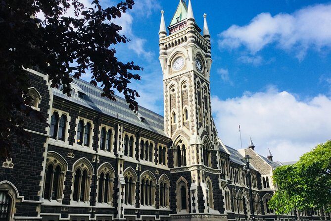 Otago Peninsula Scenery and Dunedin City Highlights Tour - What Makes This Tour Stand Out?