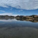 Otago Peninsula Scenery & Little Blue Penguin tour - Who Will Love This Tour?