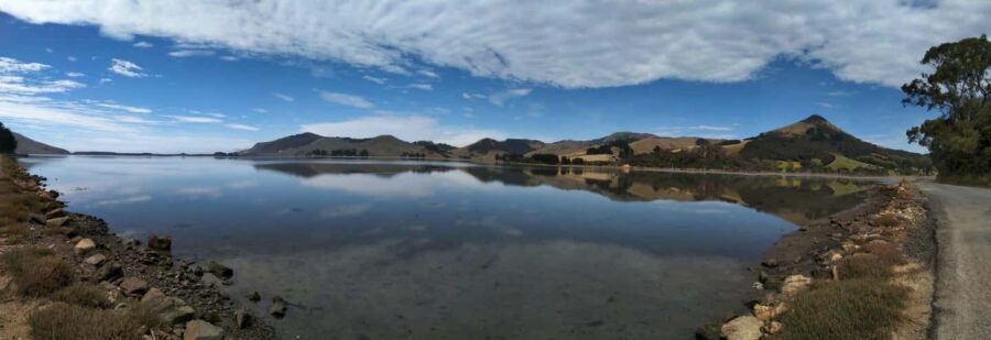 Otago Peninsula Scenery & Little Blue Penguin tour - Who Will Love This Tour?