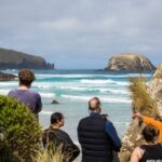 Otago Peninsula Wildlife Tour & Cruise - Who is This Tour Best For?