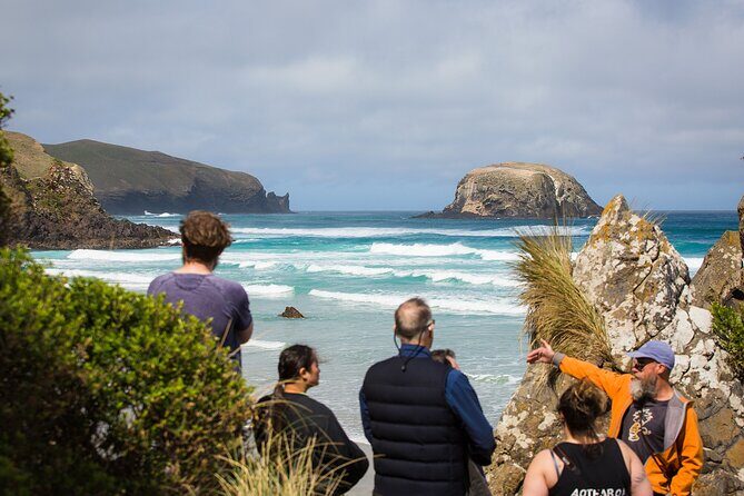 Otago Peninsula Wildlife Tour & Cruise - Who is This Tour Best For?