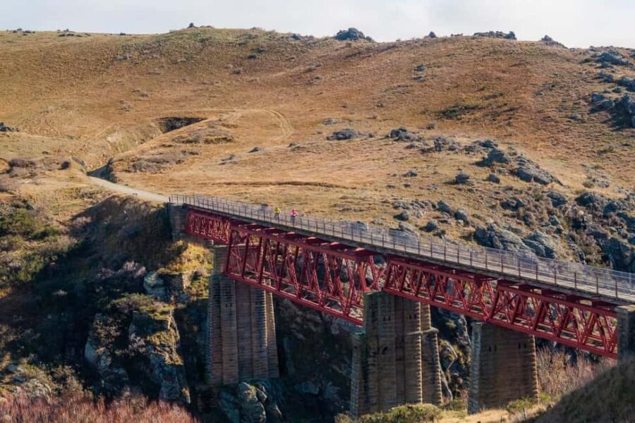 Otago: Rail Trail Self-Guided Biking Experience - Who Is This Tour Best For?