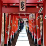Otaku Tokyo Tour: Akihabara and Nakano Broadway - Exploring Tokyo’s Otaku Heart: A Deep Dive into the Tour