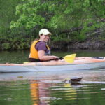 Ottawa: Ecological Reserve Kayak Tour with Turtle Sightings - The Sum Up: Is This Tour Worth It?