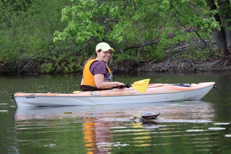 Ottawa: Ecological Reserve Kayak Tour with Turtle Sightings - The Sum Up: Is This Tour Worth It?